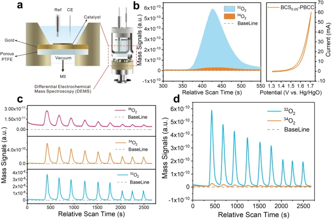 我校卜云飞教授团队在《Nature Communications》发表最新研究成果